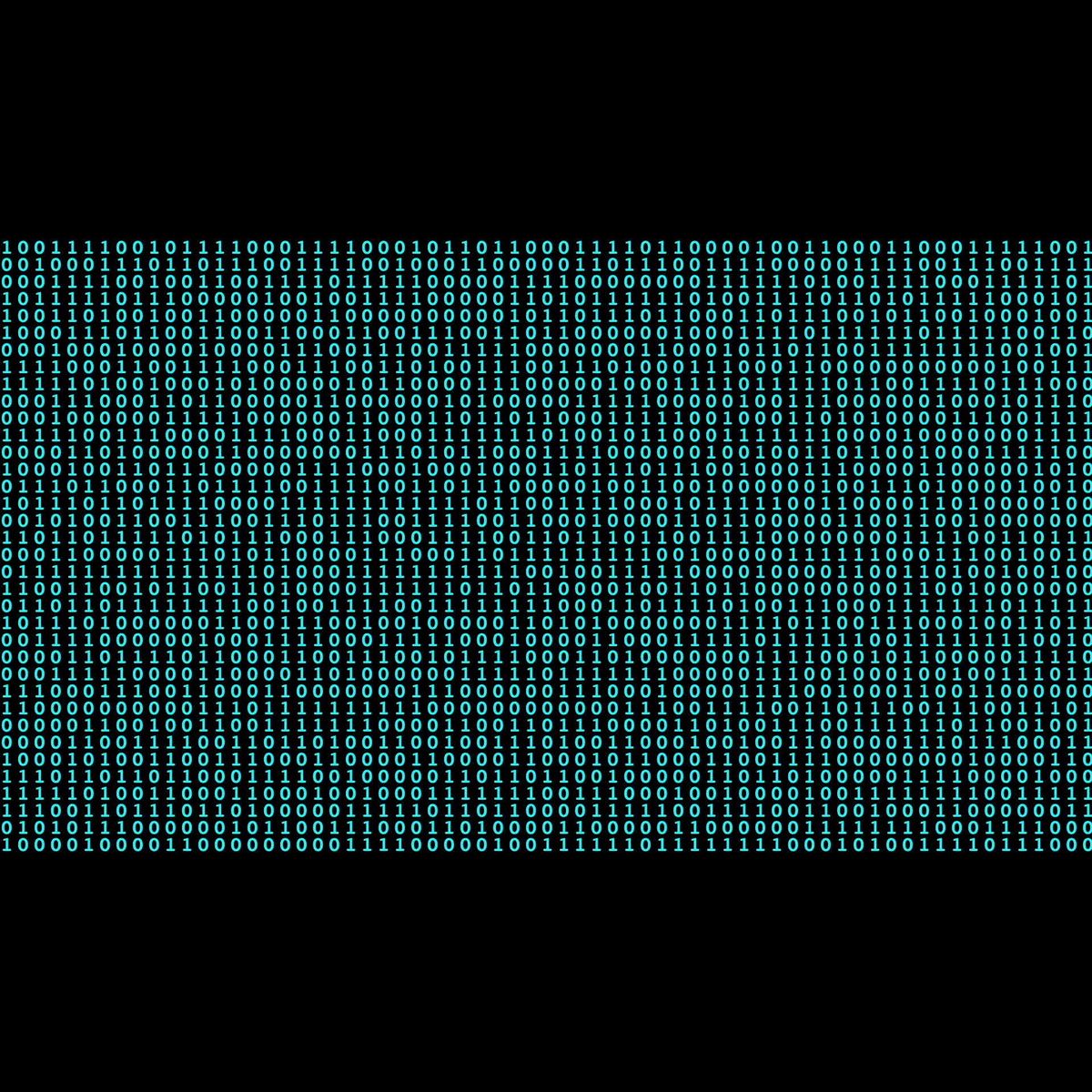 Inside the black box: data in the age of machine learning